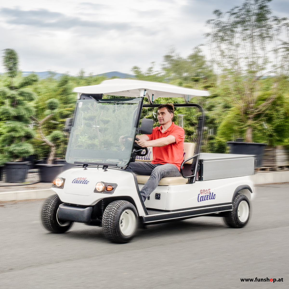 Elektrotransporter von Carello – FunShop Wien – Hochqualitative ...